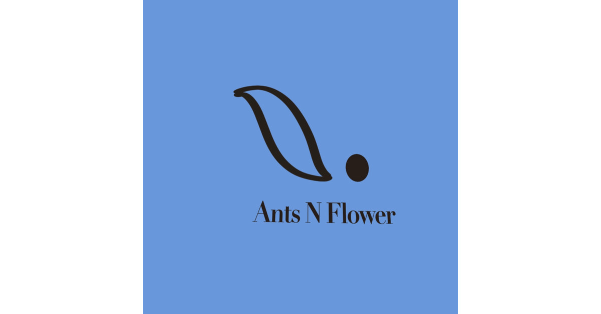 ants flower.com - about us – Ants N Flower